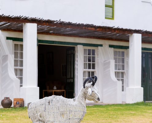 Karoo 1 Hotel Rooms - Karoo 1 Hotel Accommodation