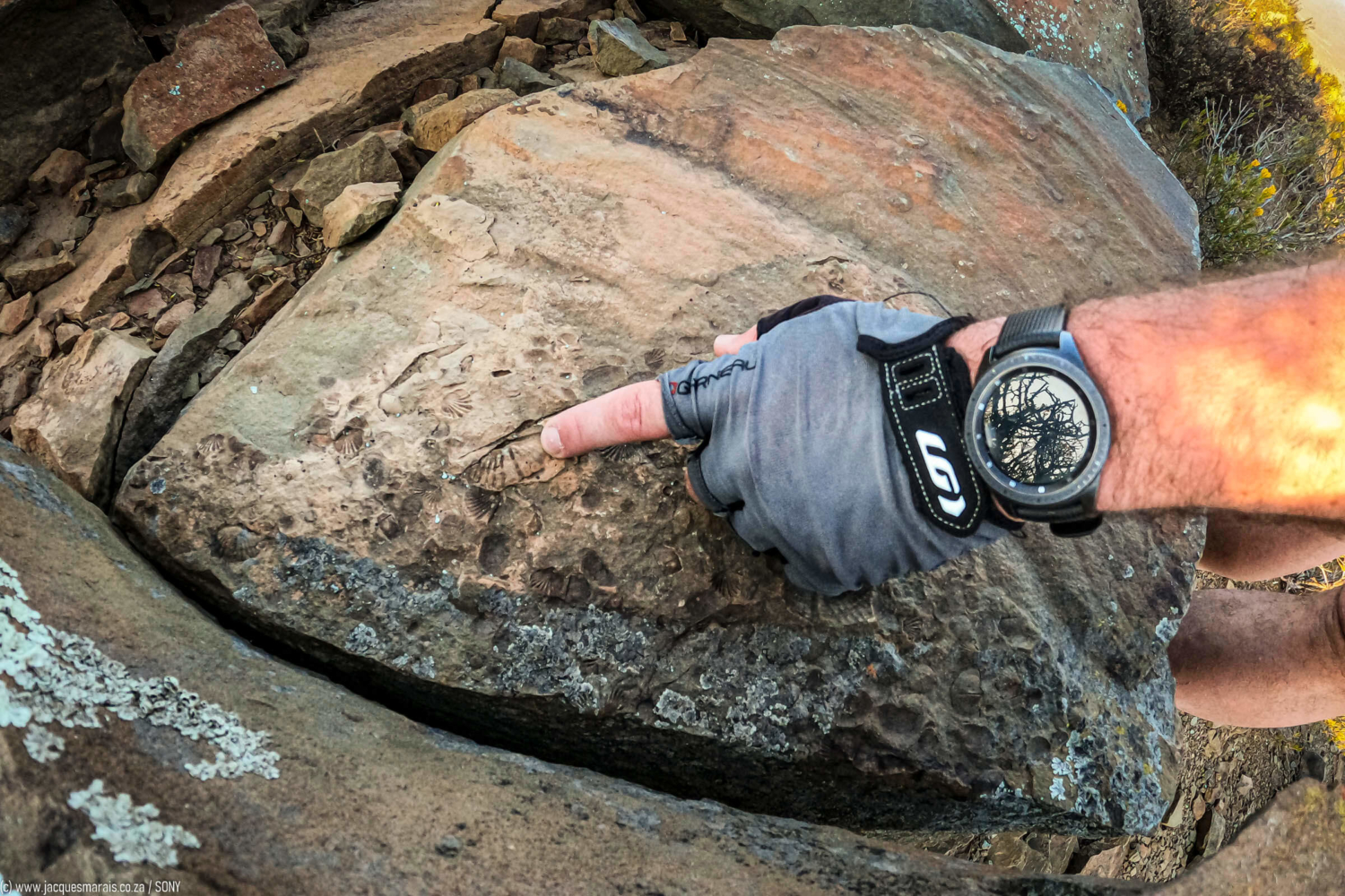 Orange Route Karoo 1 Mountain Biking Trail – Karoo 1 Hotel Accommodation